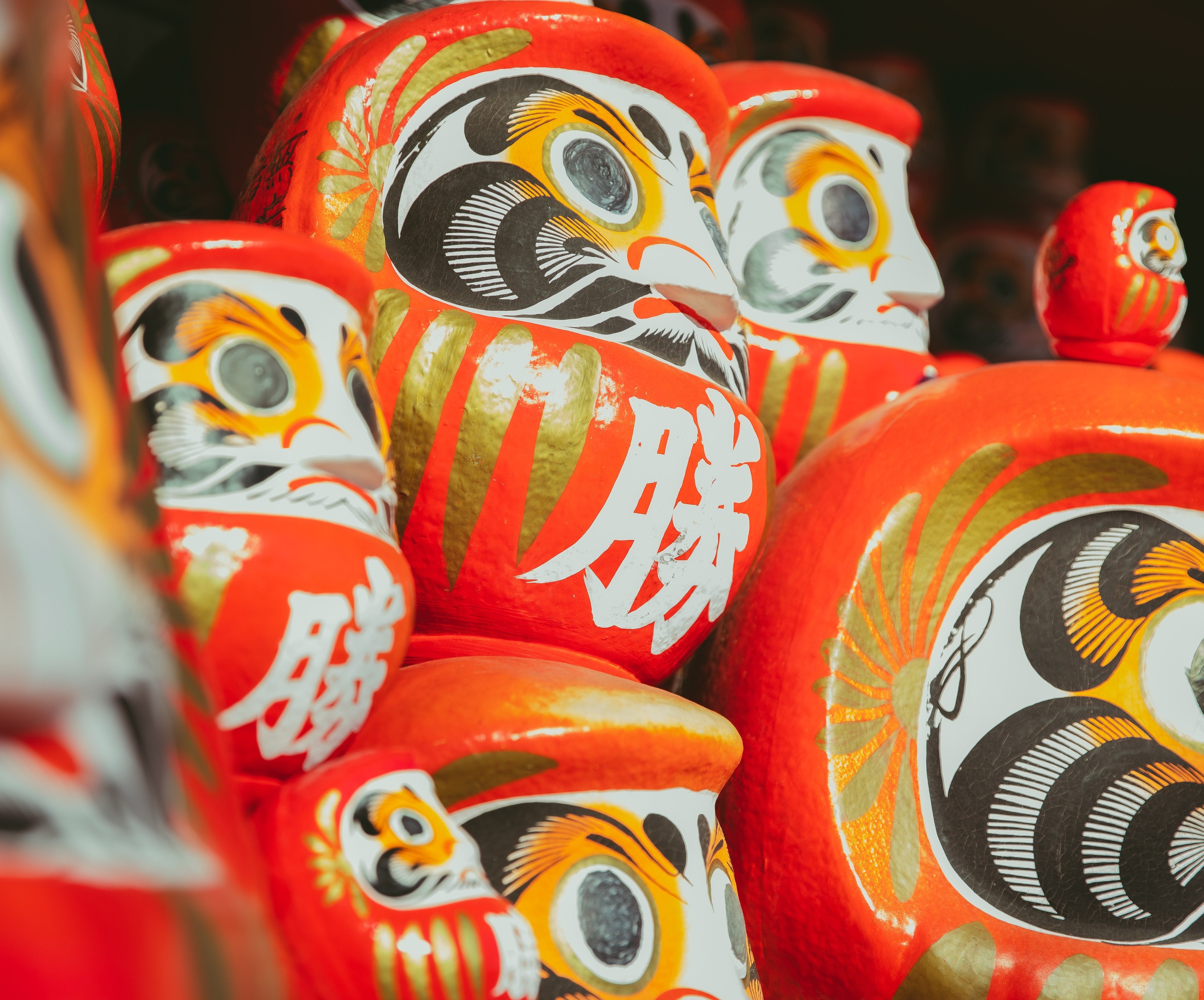 Tanuki No Mori